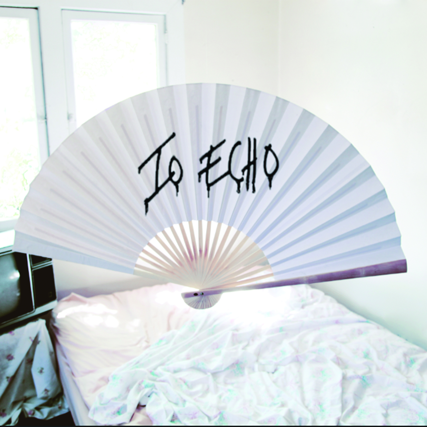 IO Echo - "Carnation" & "Ministry Of Love"