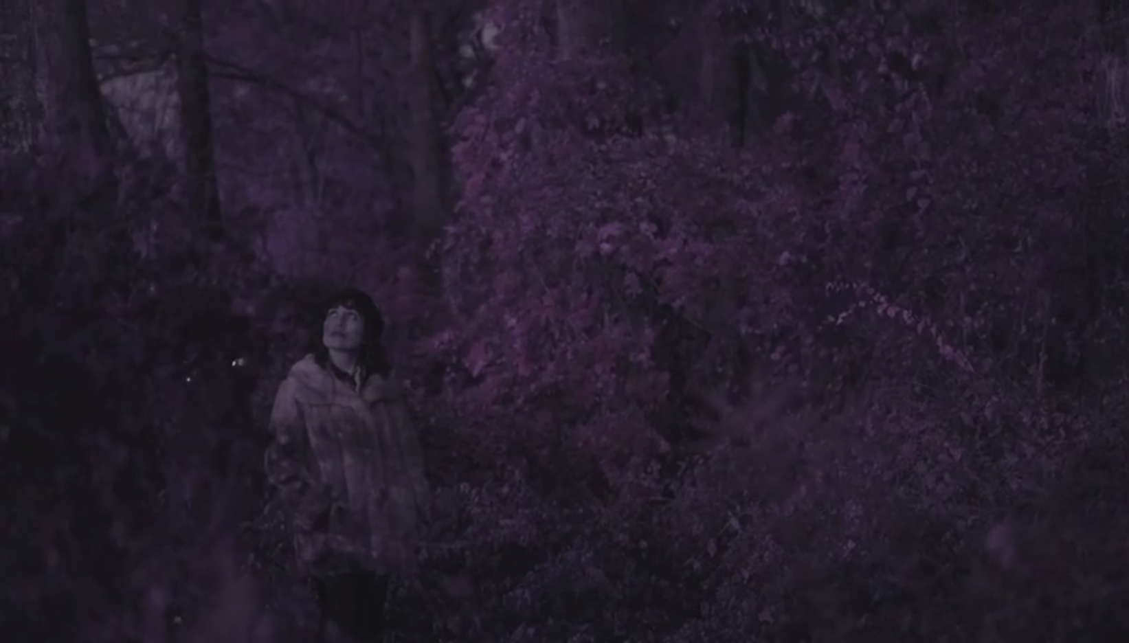 Courtship Ritual - "Ancient Drip" Video