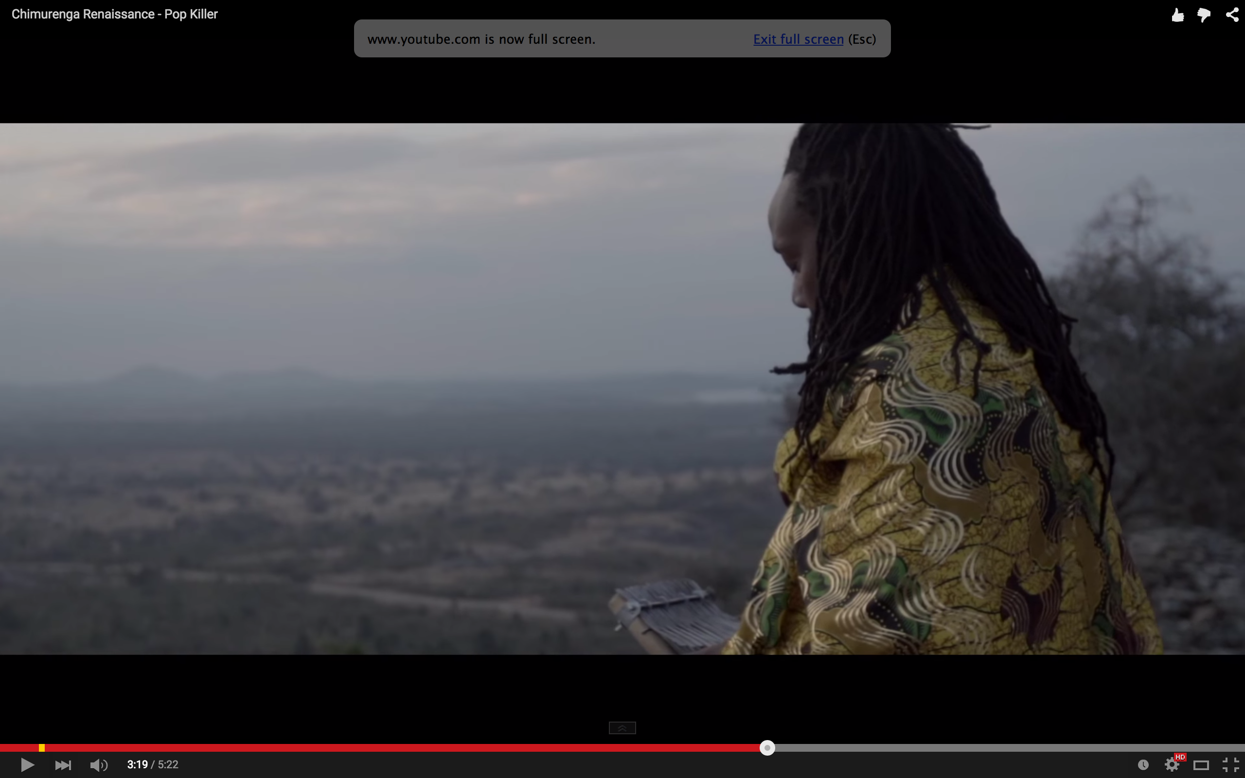 Chimurenga Renaissance - "Pop Killer" Video