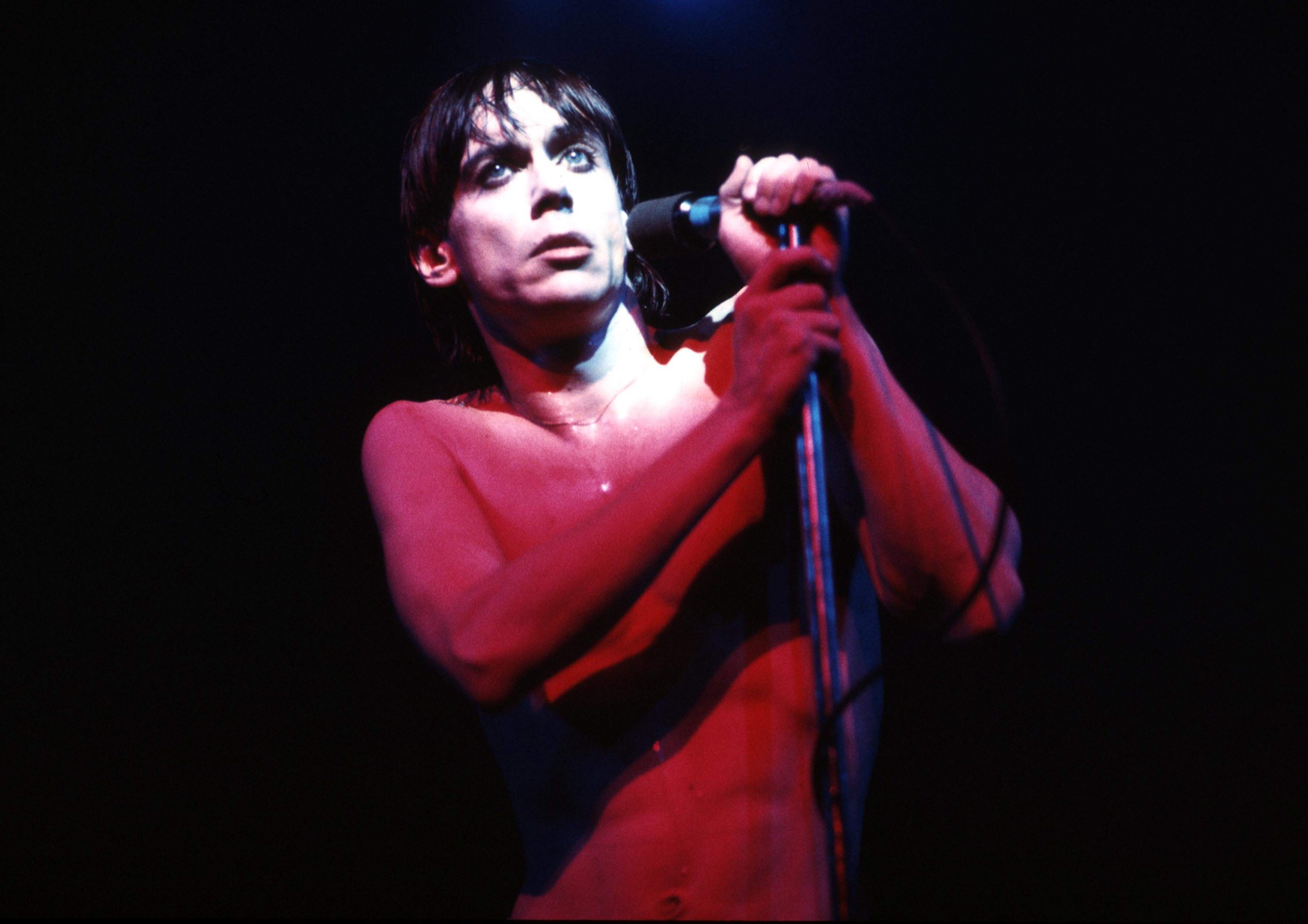 Iggy Pop Albums From Worst To Best