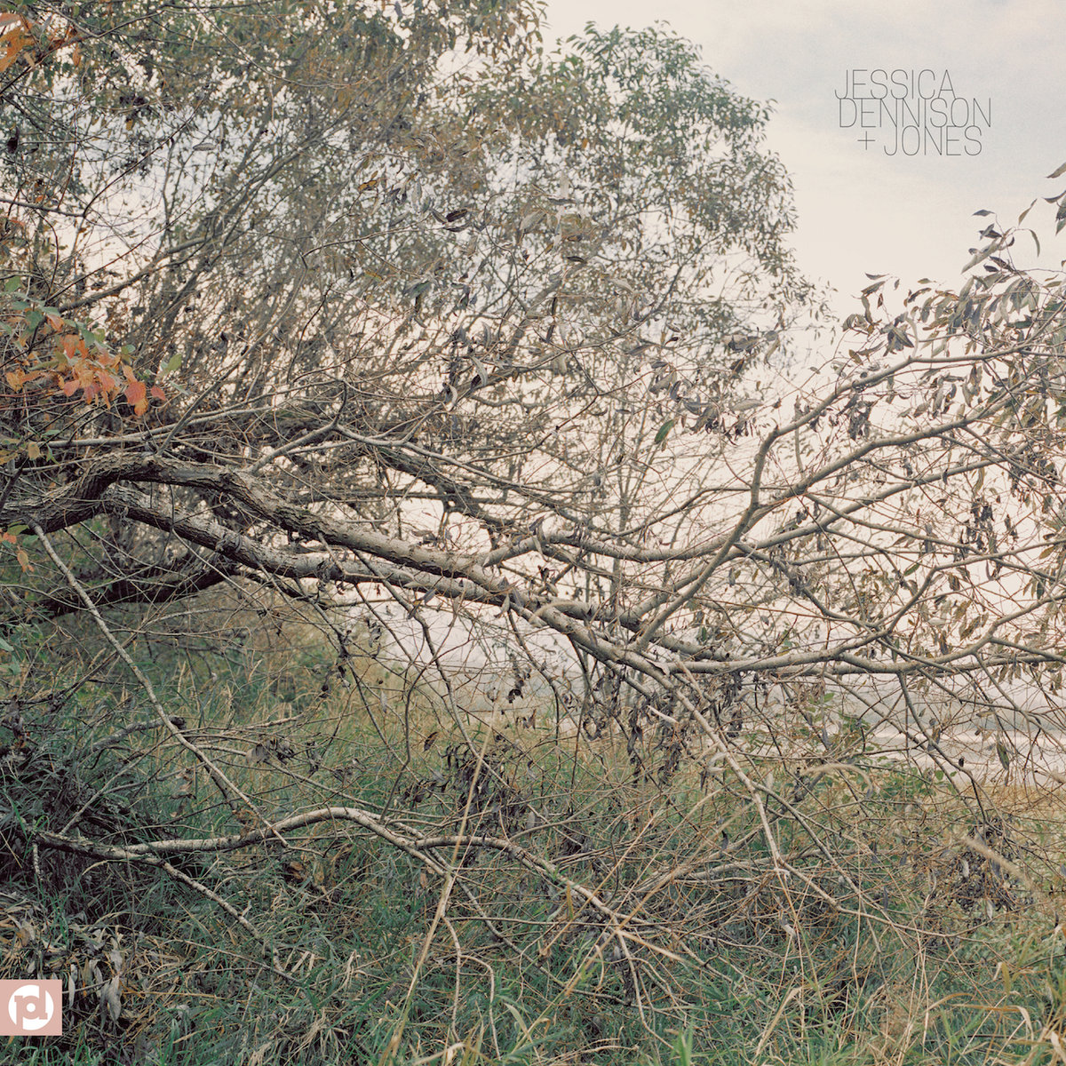 Jessica Dennison + Jones - "Confines"
