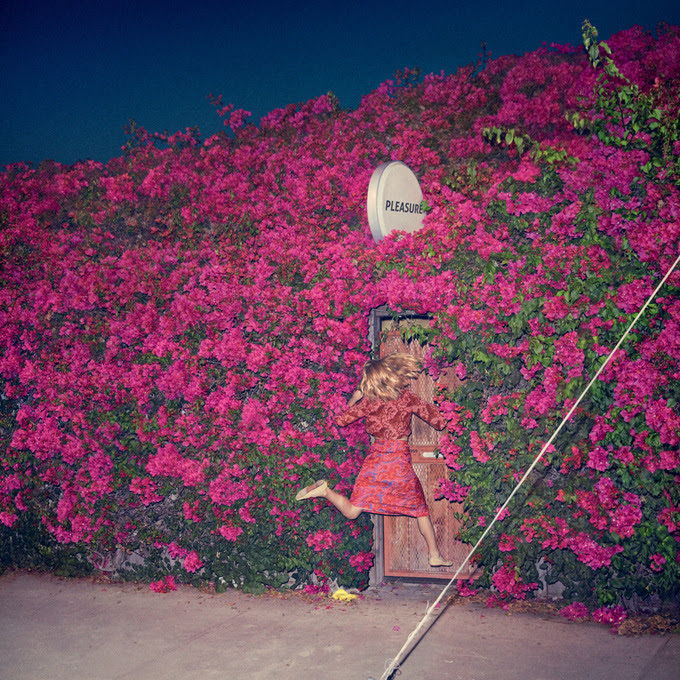 Feist - "Century" (Feat. Jarvis Cocker)