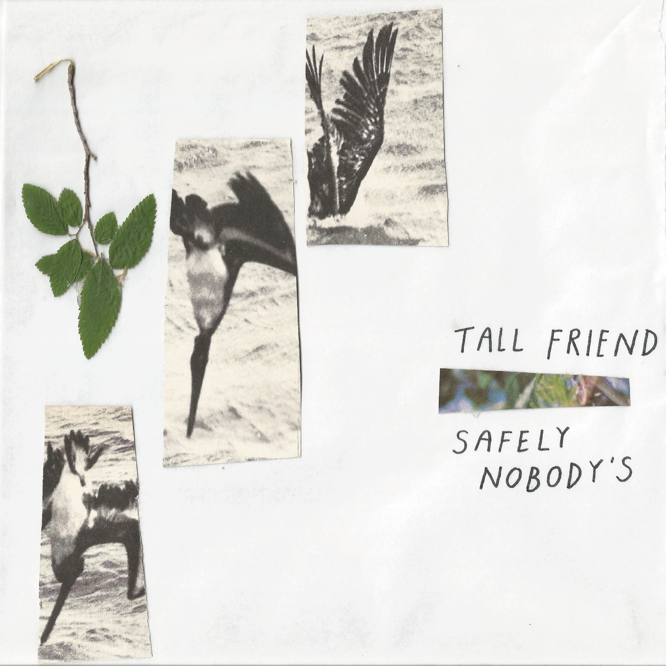 Stream Tall Friend Safely Nobody's