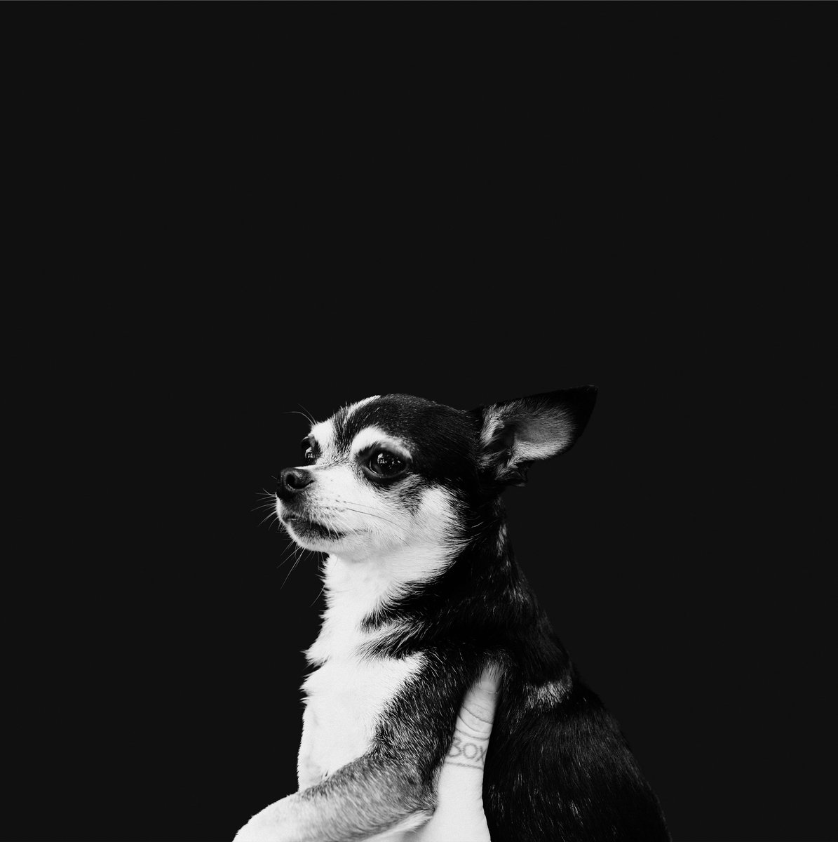 And The Kids - "No Way Sit Back"