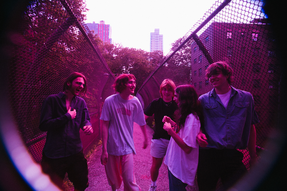 Band To Watch: Geese