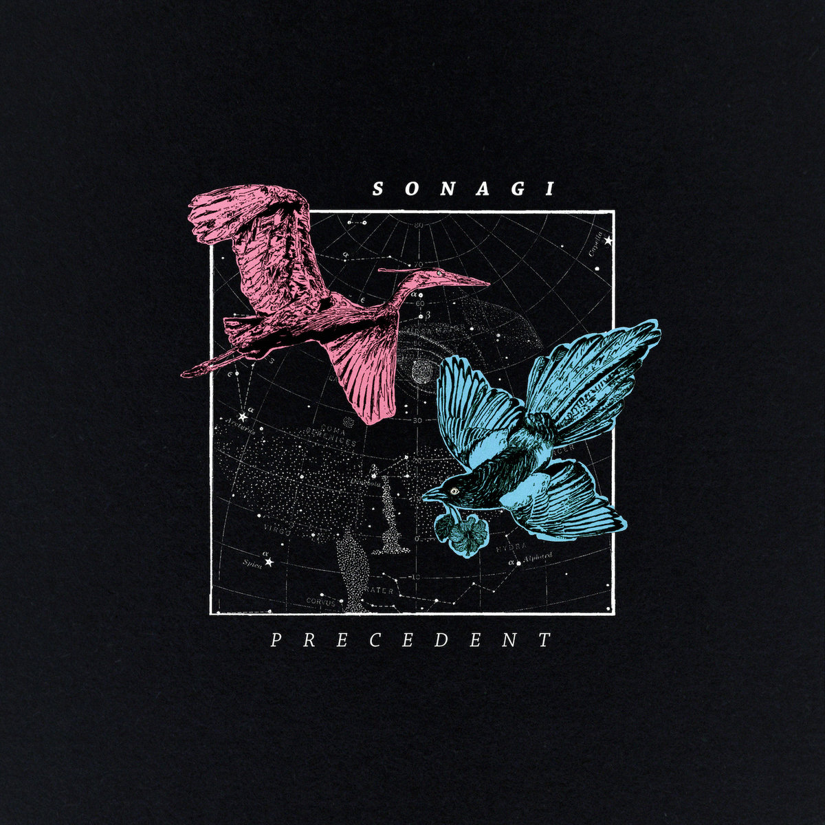 Sonagi - "Ambivalence"