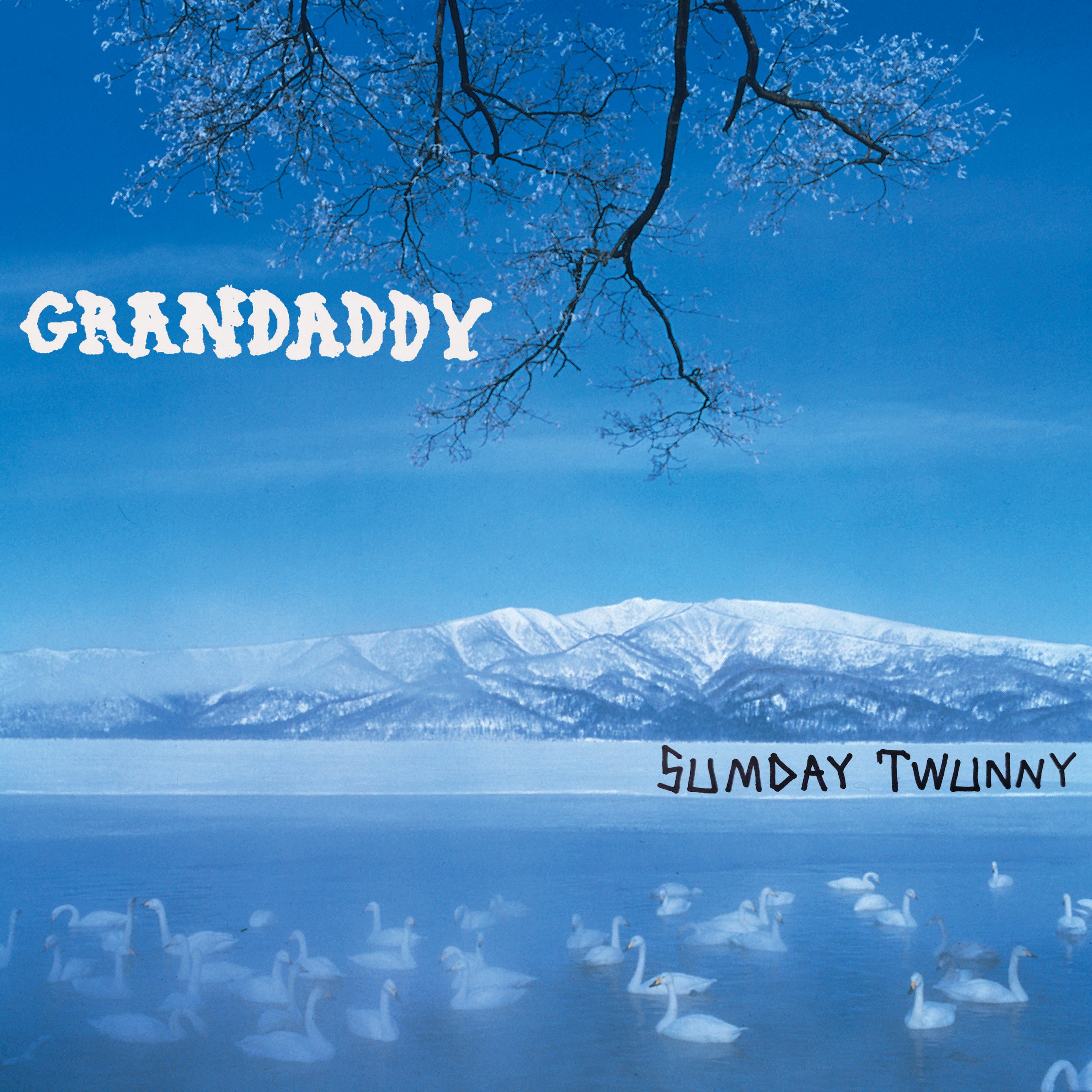 Grandaddy Announce 20th Anniversary Sumday Box Set