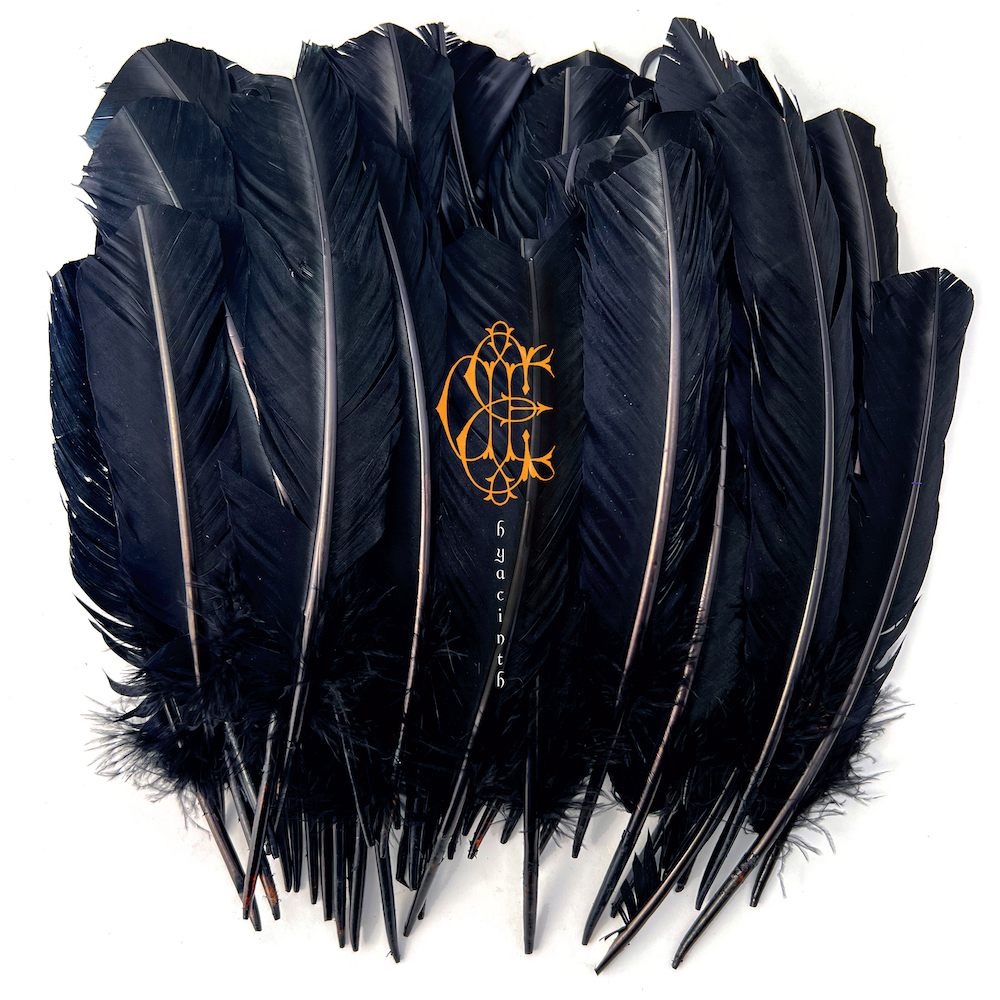 David Eugene Edwards - "Lionisis"