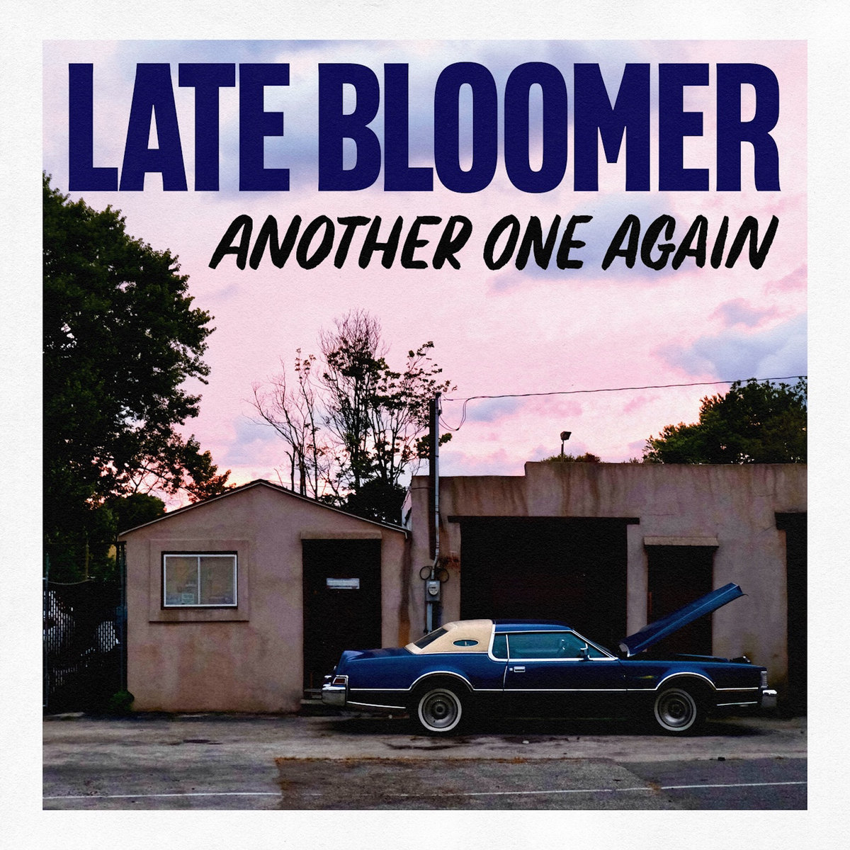 Late Bloomer - "Mother Mary"
