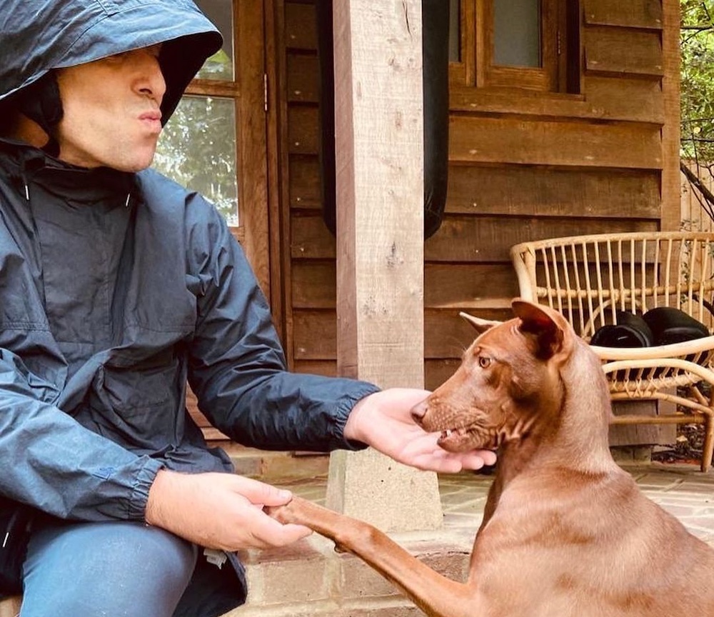 Liam Gallagher Gives Jonathan Ross Update On His New Thai Rescue Dog ...
