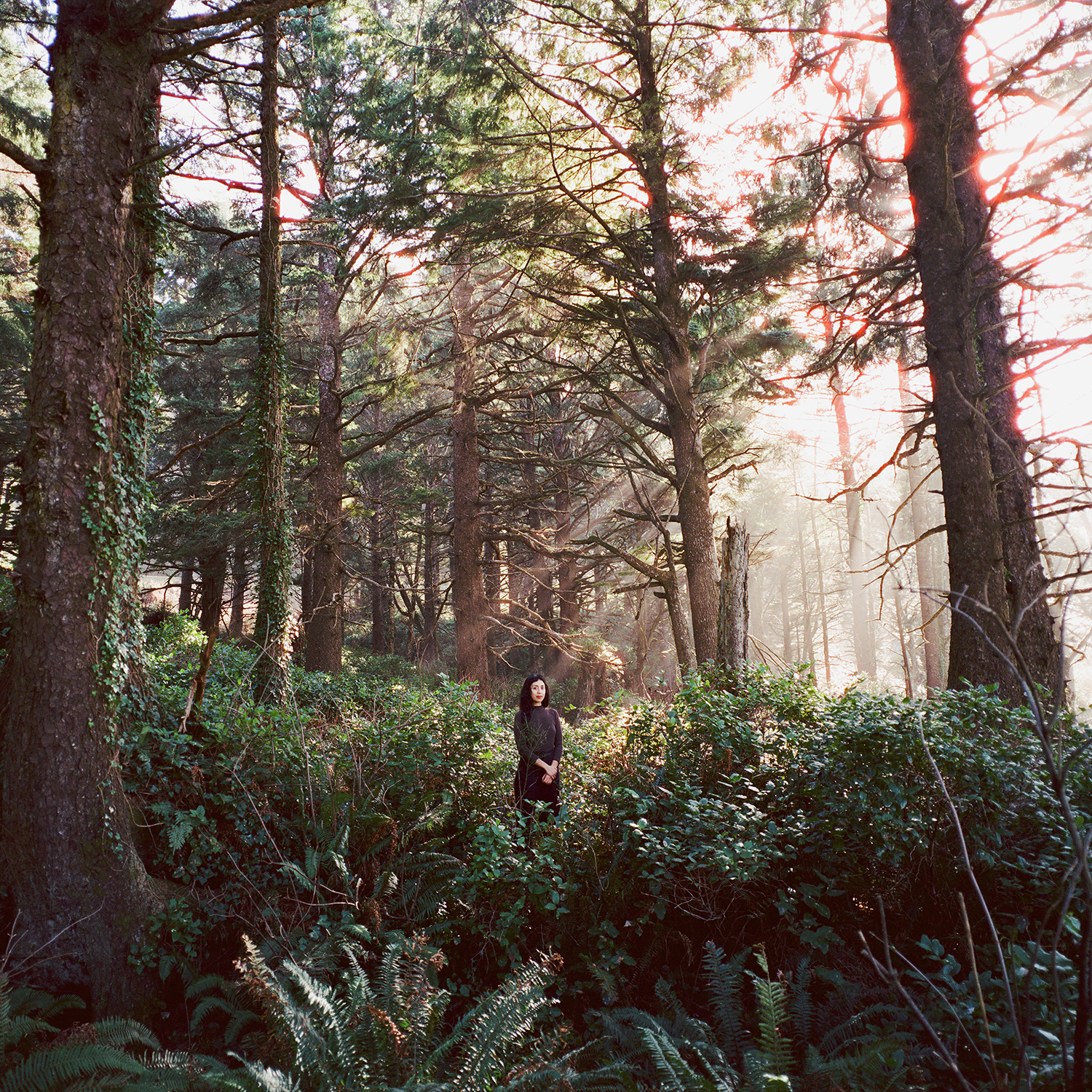Haley Heynderickx Shares "Seed Of A Seed," First New Song In Six Years