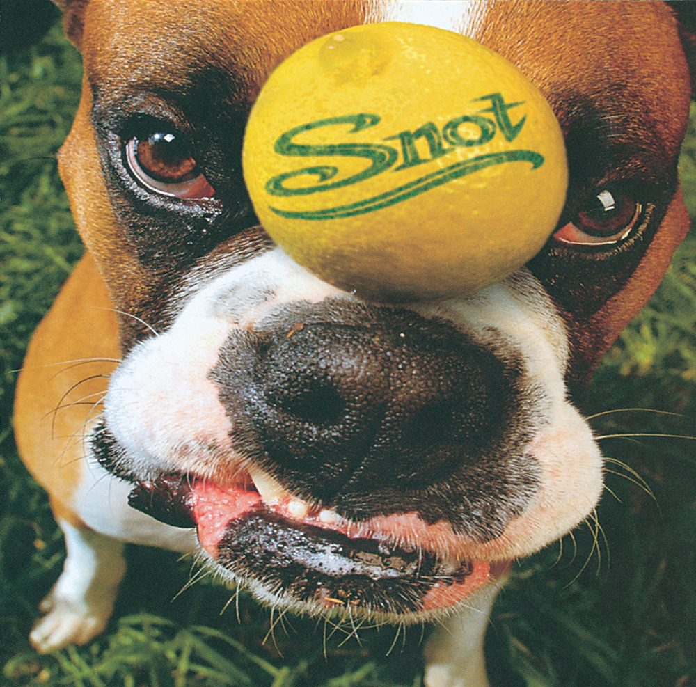Like Linkin Park, Reunited Nü-Metal Band Snot Are Keeping New Singer ...