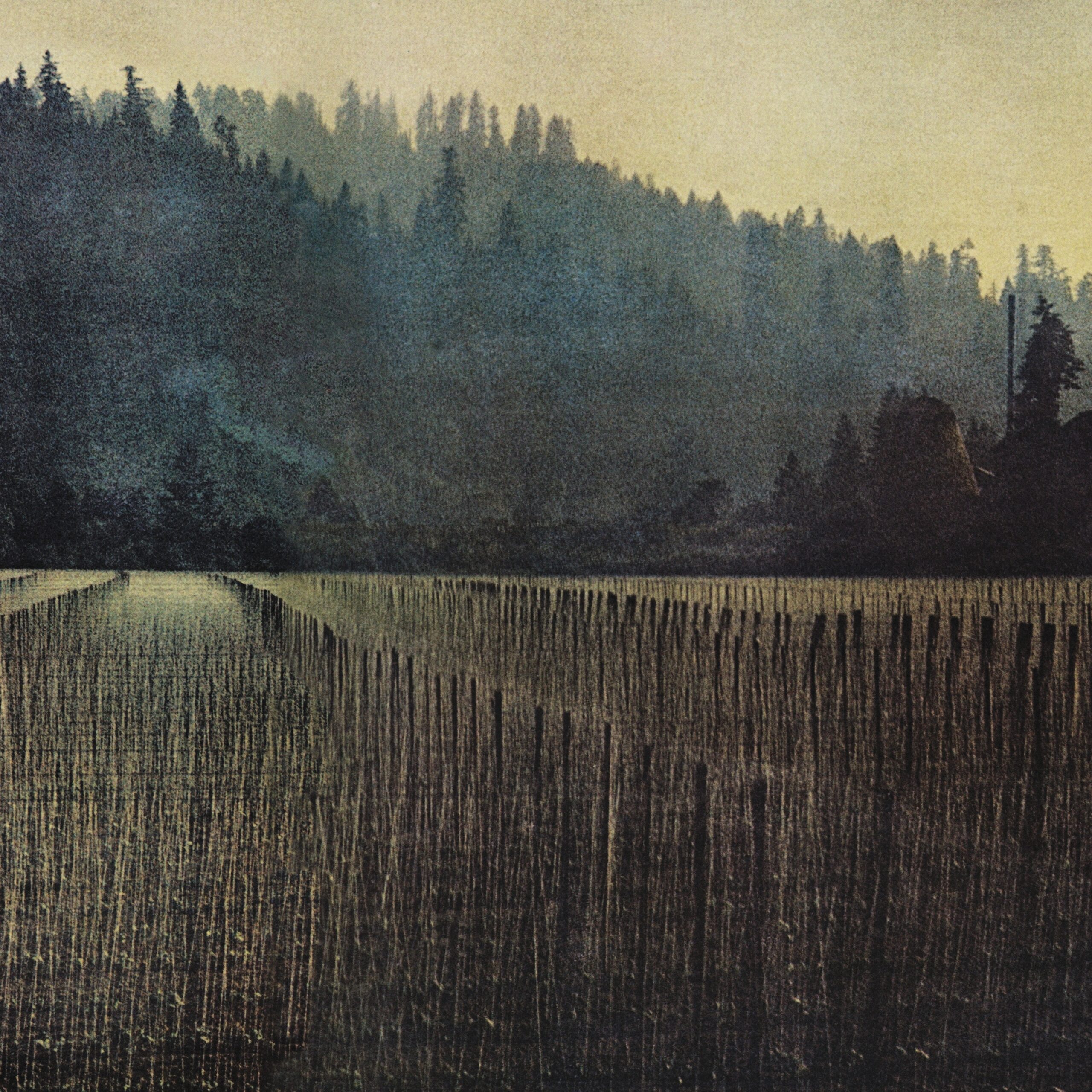 Beach Fossils - "Inside Out" (Duster Cover)