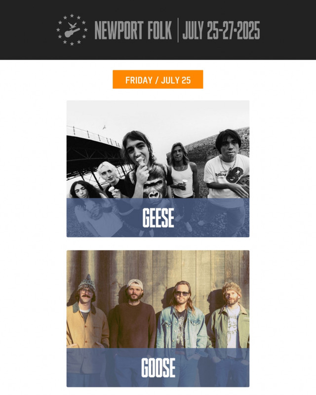 Geese And Goose Are Finally On The Same Festival Lineup (On The Same ...