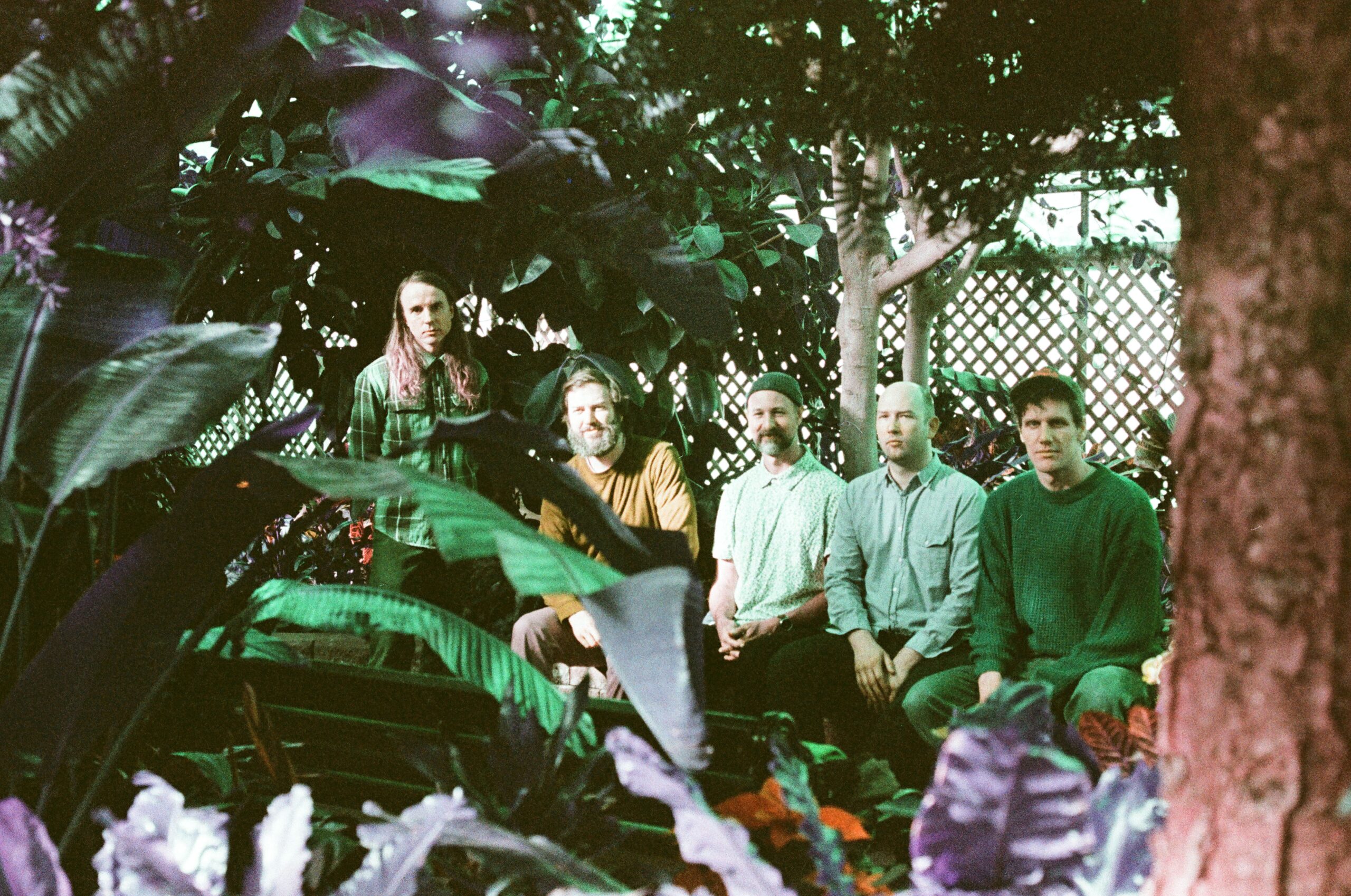 Foxwarren - "Deadhead"