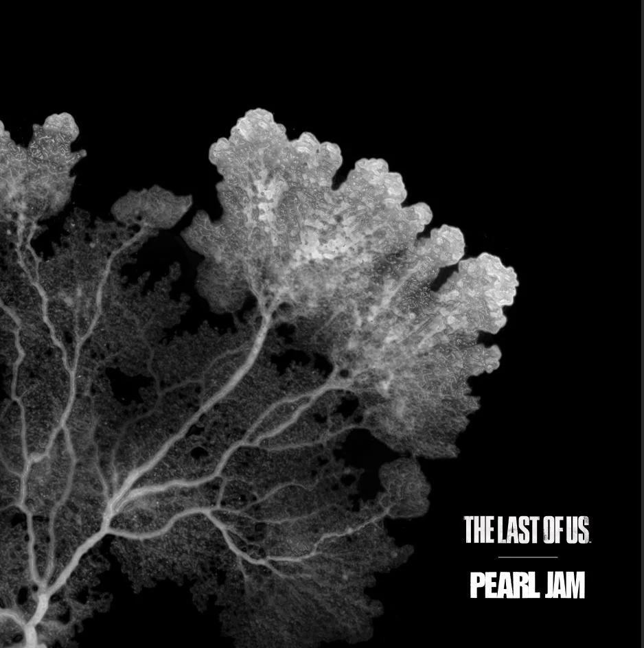 Pearl Jam Release The Last Of Us Tie-In EP