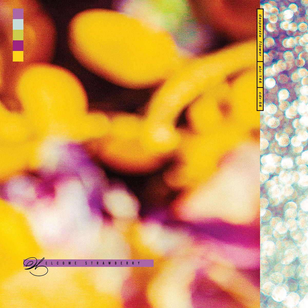 Welcome Strawberry Announce New Album Desperate Flower: Hear “Memory Cube”