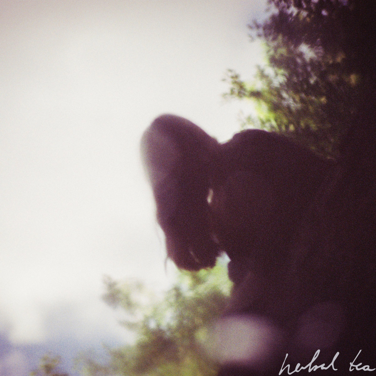 herbal tea Announces Debut Album Hear As The Mirror Echoes: Hear ...
