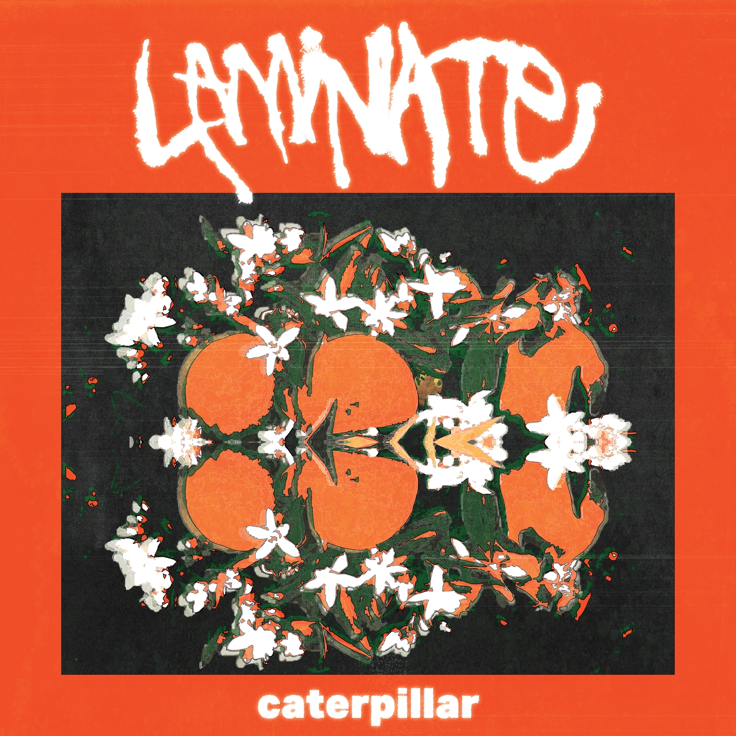Laminate - "Caterpillar"