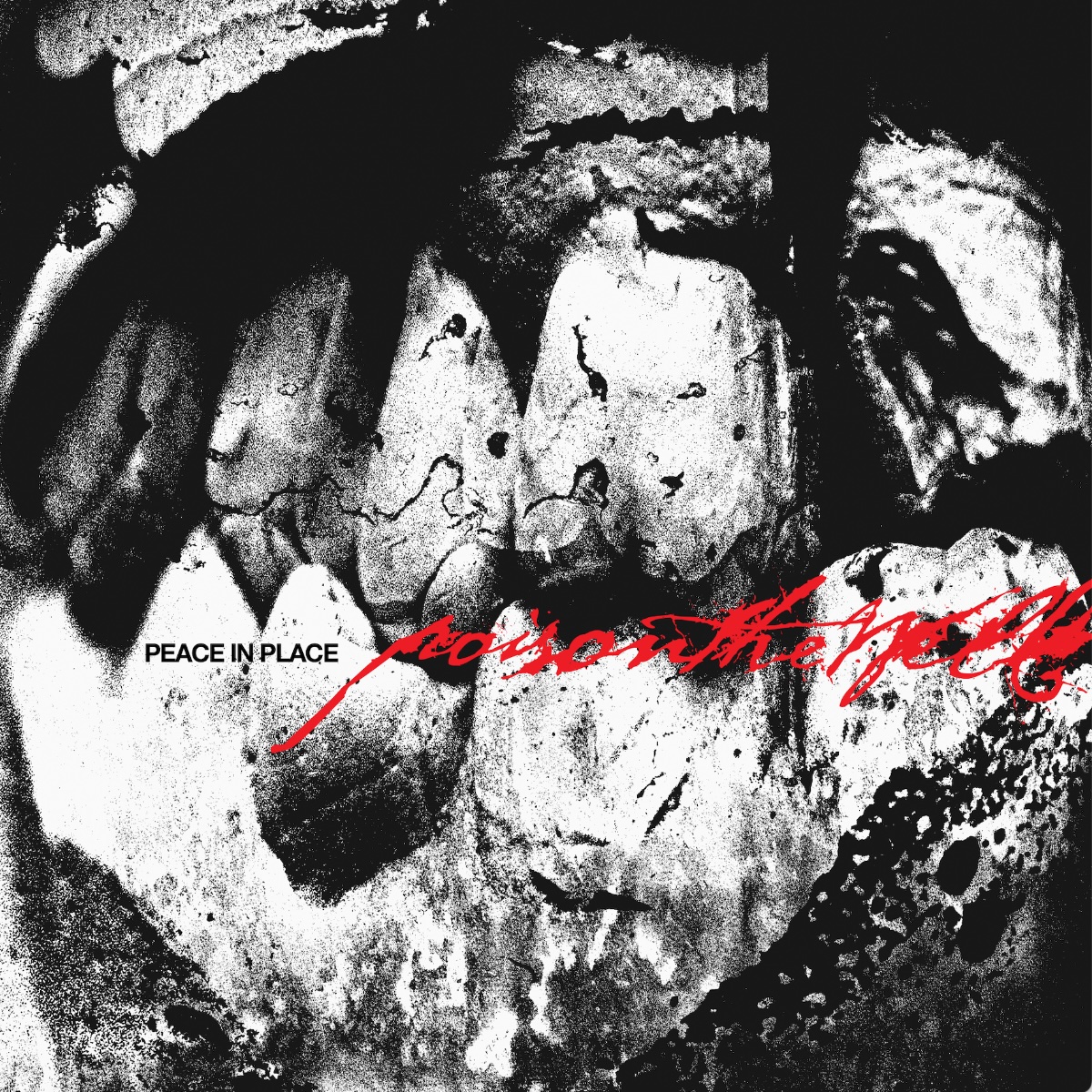 Poison The Well Announce First New Album In 17 Years