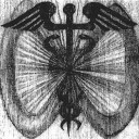 Robber Robber Announce New Album 'Two Wheels Move The Soul': Hear "The ...