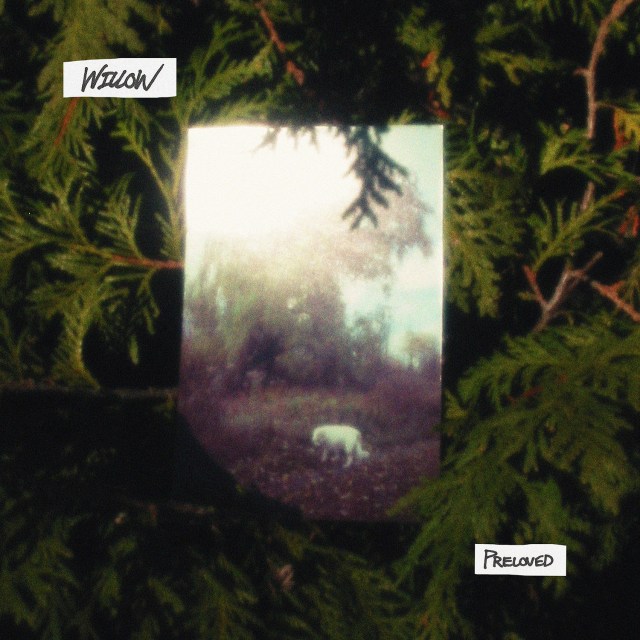 fanclubwallet's Michael Watson Announces Preloved Album 'Willow'