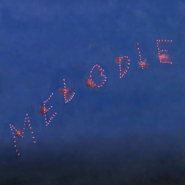 Slow Pulp Announce New Album 'Melodie': Hear "Better Man"
